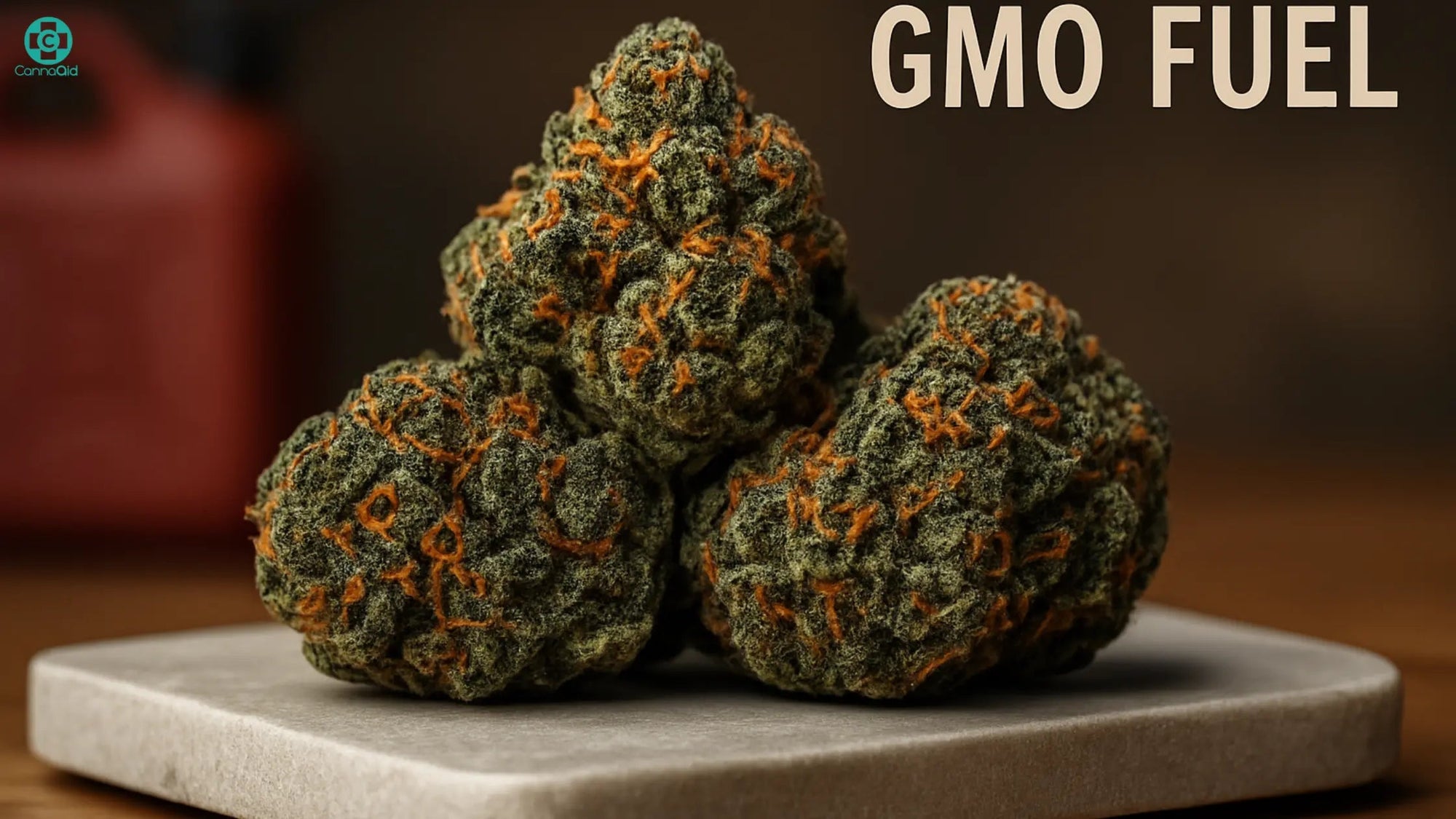 GMO Fuel Strain: Heavy Indica with Diesel & Garlic Notes – CannaAid