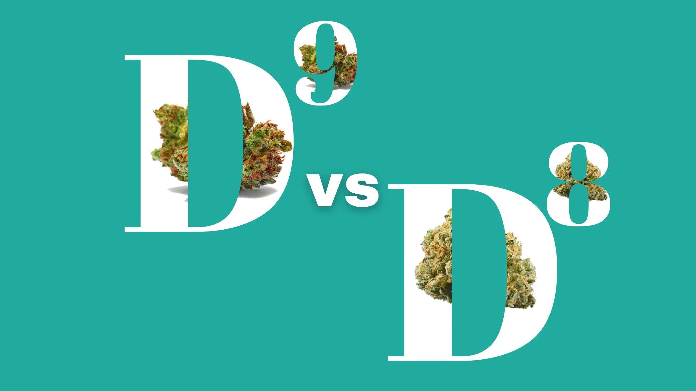 Delta-8 vs Delta-9 THC: Key Differences Explained – CannaAid