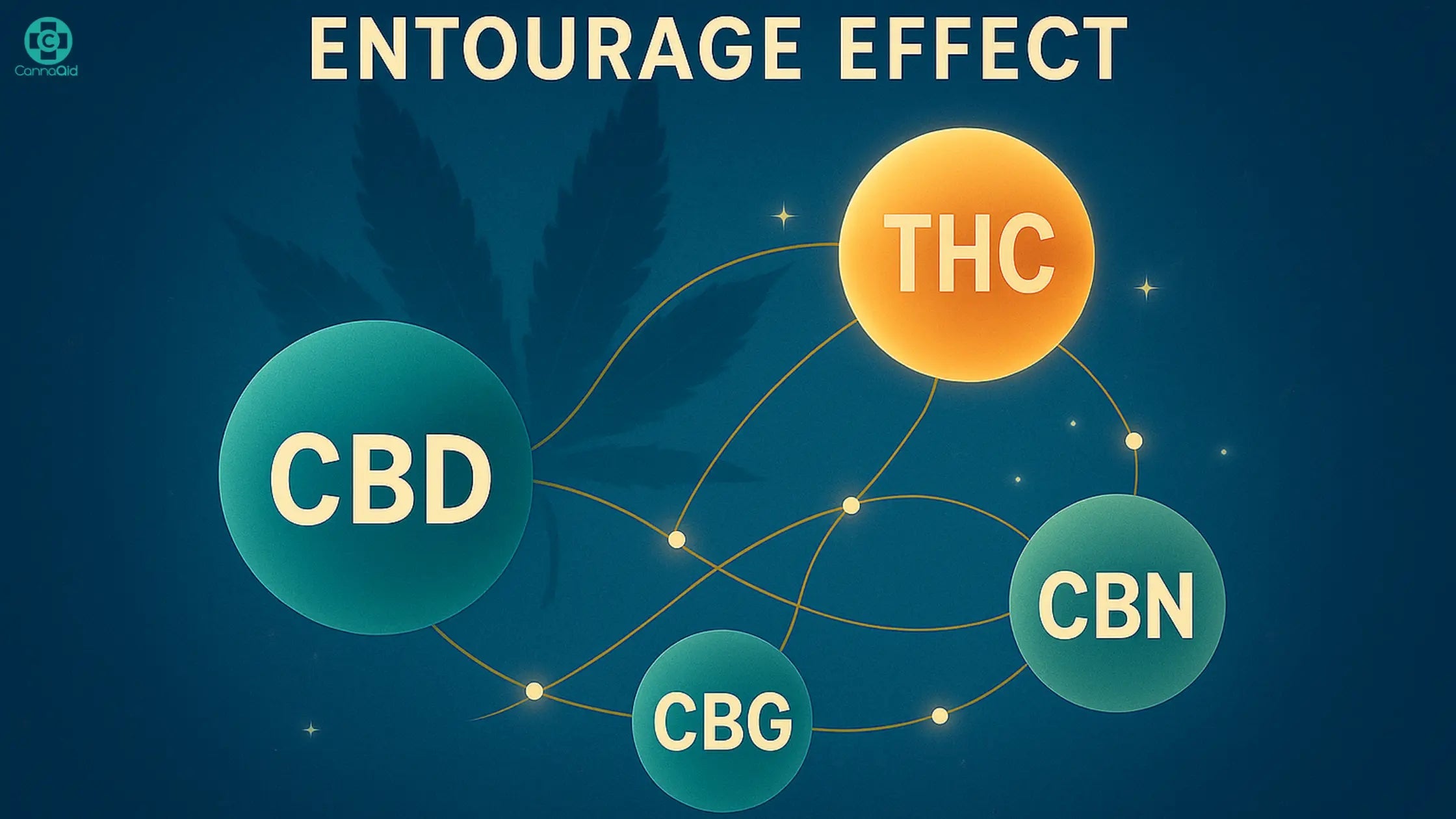 Entourage Effect: How Cannabis Compounds Work Together – CannaAid