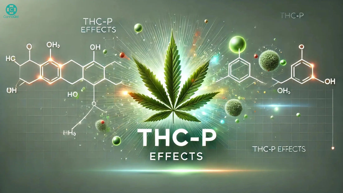 Entendiendo los efectos y la potencia del THC-P - CannaAid